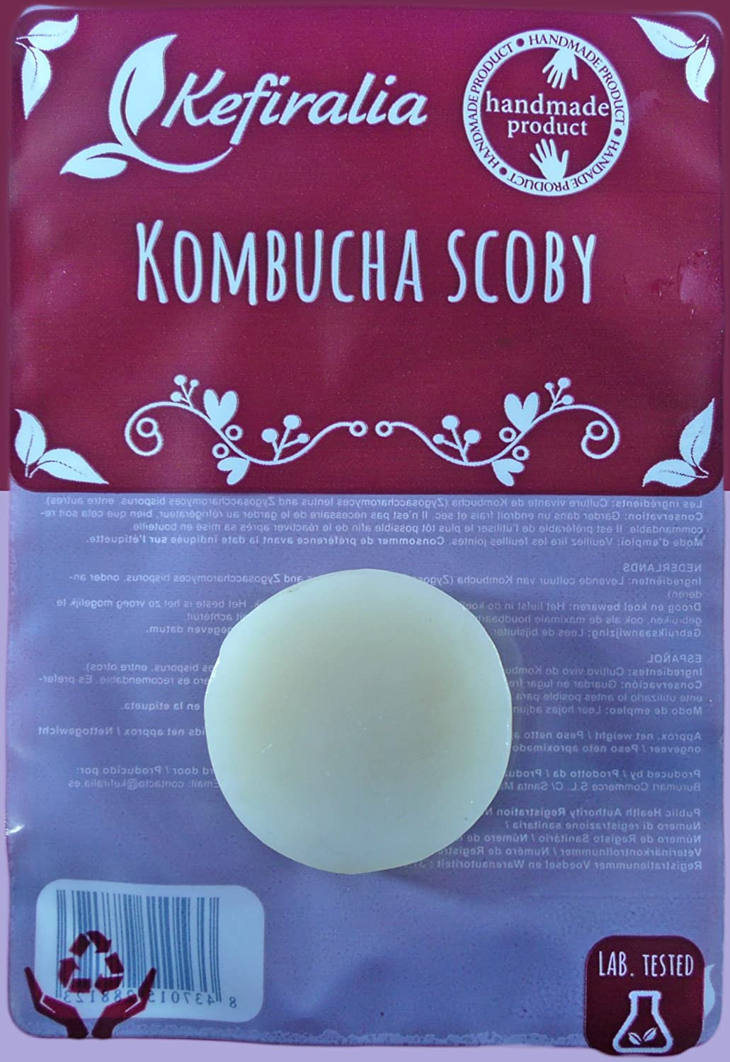 Pack 40g de Hongo de Kéfir de Leche + Disco SCOBY Kombucha | Kefiralia